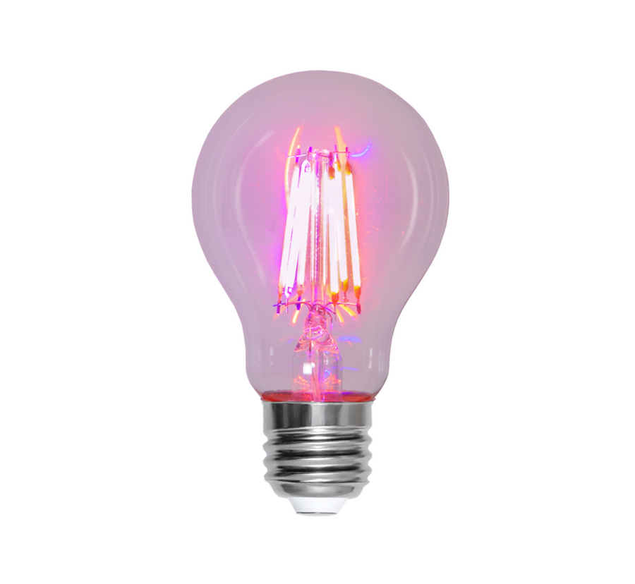 LED-pærer - Våre toppselgere – Lightup.no