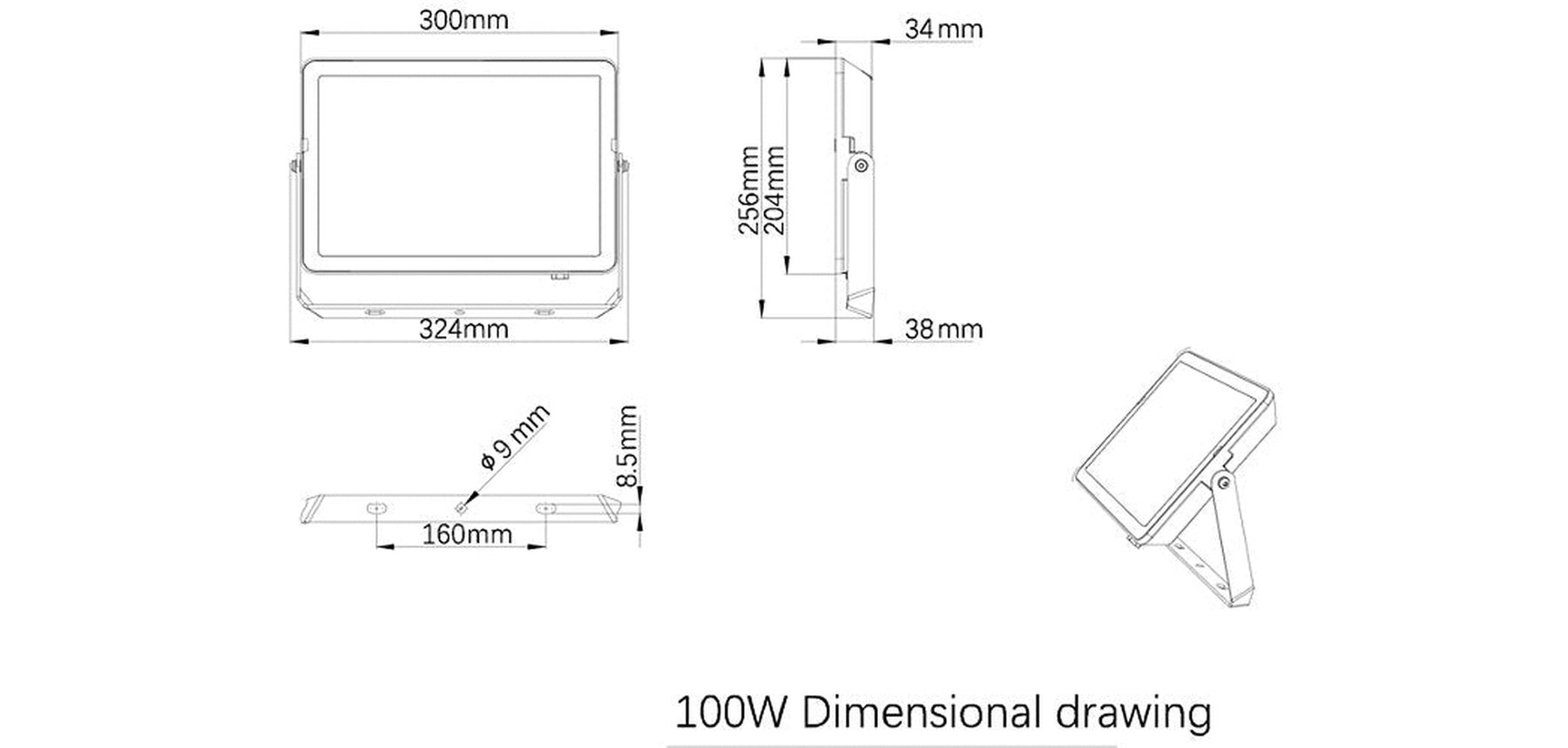 Philips ProjectLine lyskaster utendørs 100W 4000K IP65 - Svart – Lightup.no